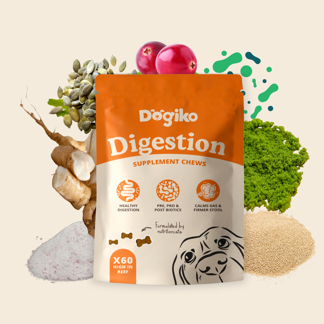 Digestion Chews – Dogiko